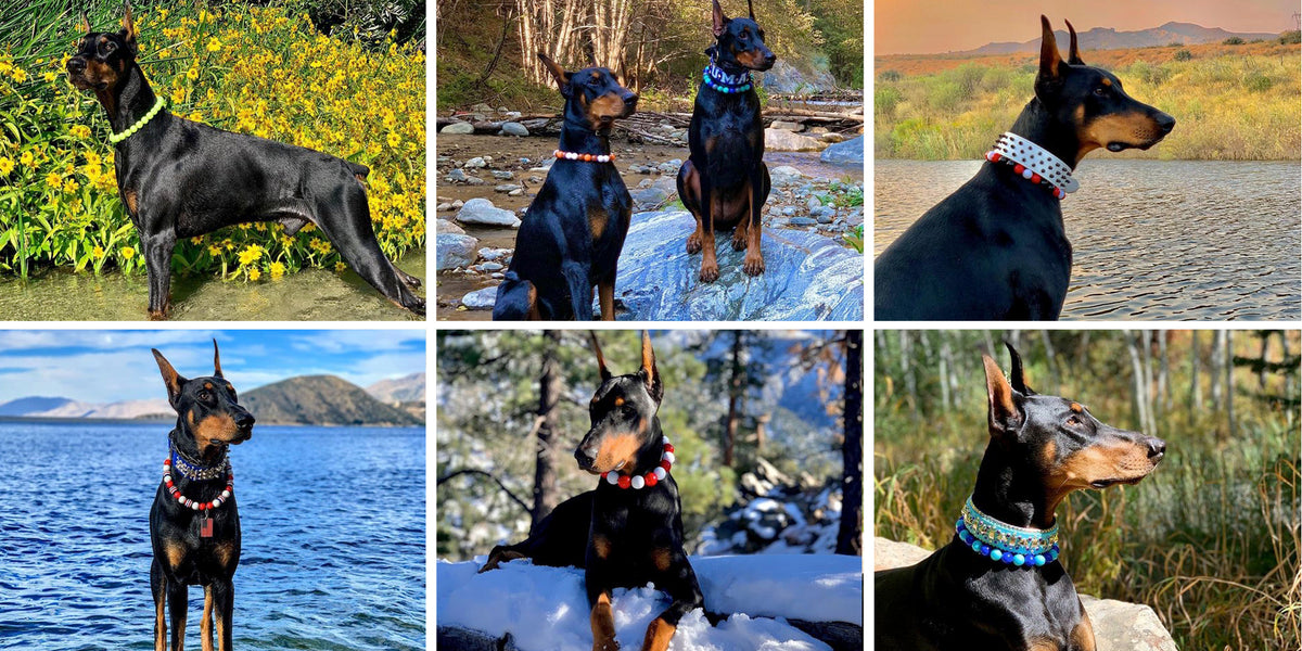 Beth Pringle is December's Featured Artisan | The BumbleBead Company